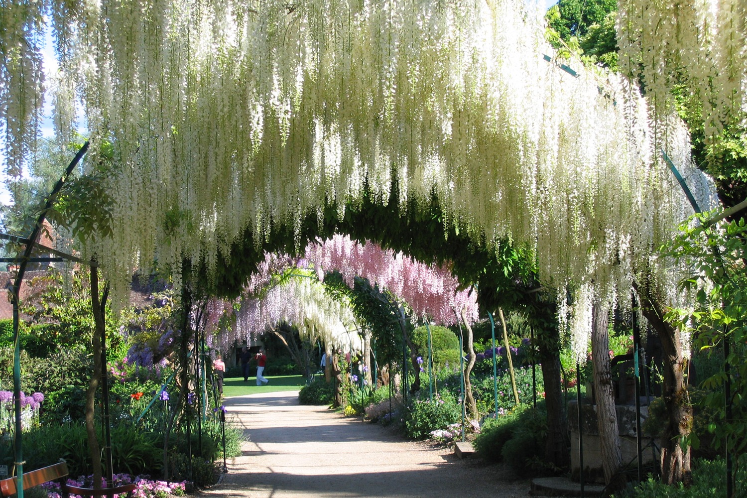 Découvrez le magnifique Parc Floral d'Apremont-sur-Allier