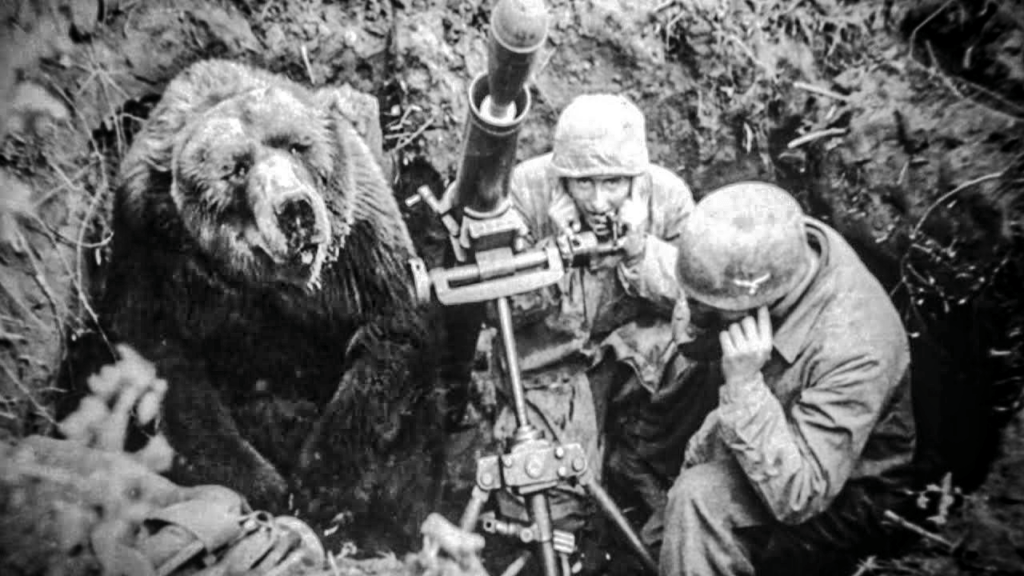Wojtek : l'unique "ours soldat" sur les champs de bataille en 40
