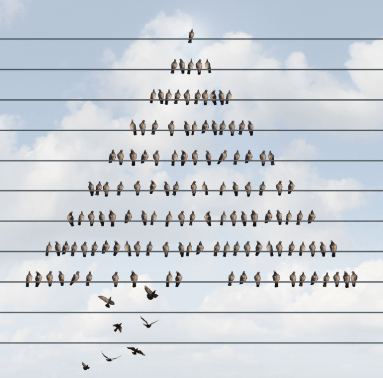 Charles Ponzi : l'escroc qui inventa la fameuse "pyramide de Ponzi"