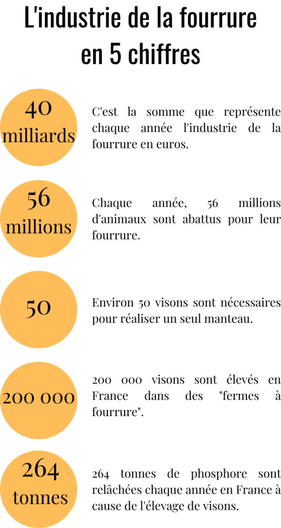 La fourrure, la mode d’une autre époque