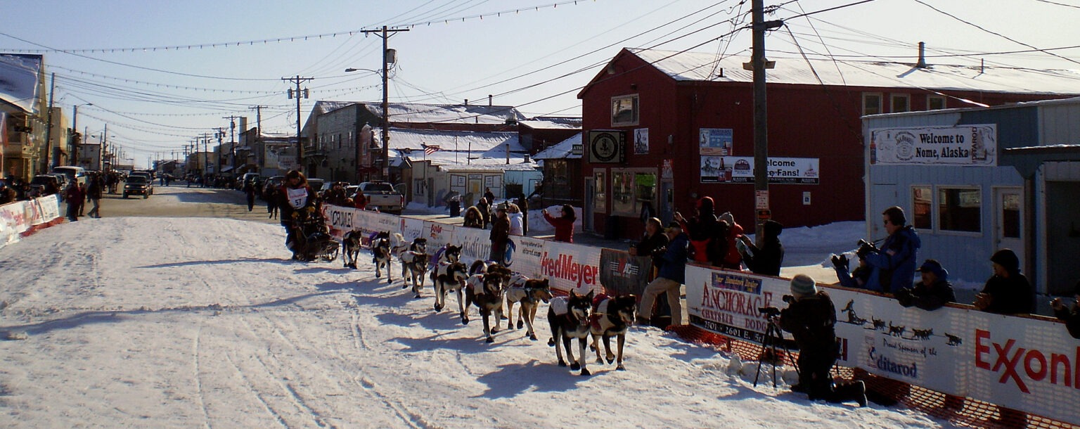 « Balto » : l'histoire vraie du chien qui a inspiré le film d'animation